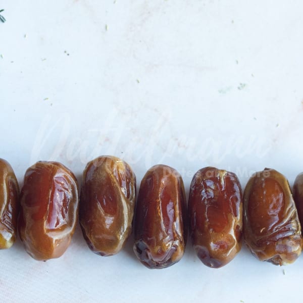 Segai Dates | Soft & chewy | 100% natural | Dattelmann